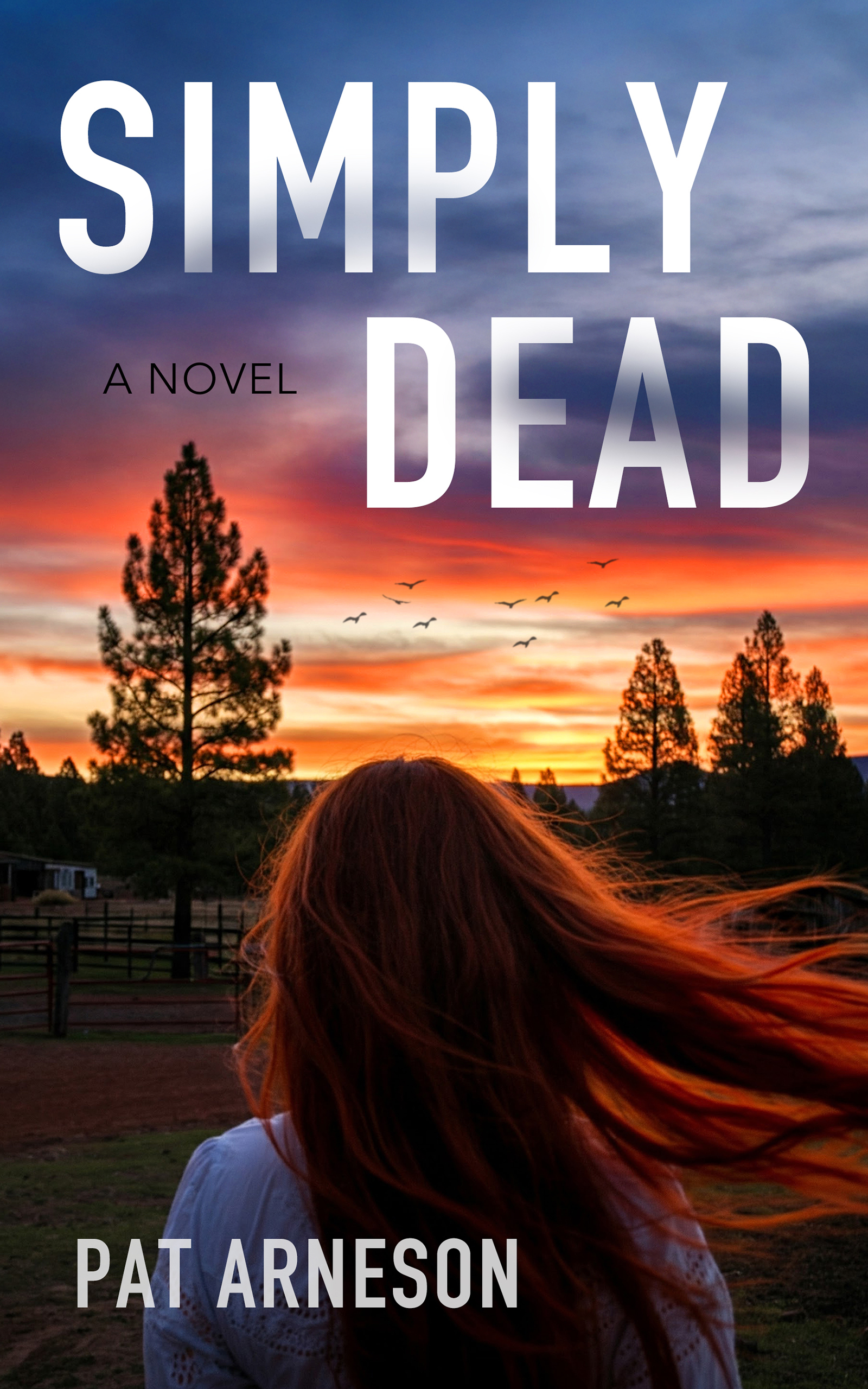 Intriguing Mysteries and More: Pat Arneson's Maguire Mystery Series ...